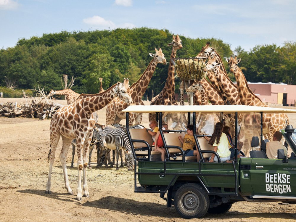 Savanne Lodge voor 6 personen | Beekse Bergen