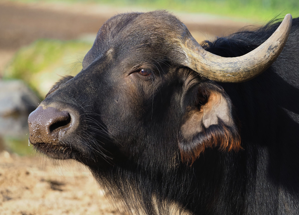 Ken je ze alle 10? – Melodyk